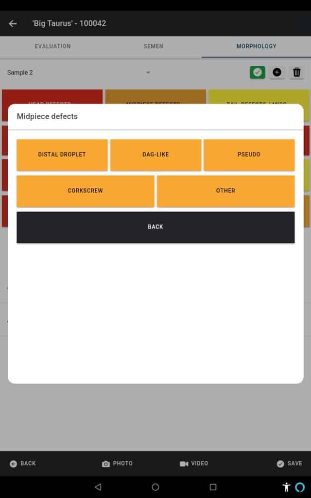 Section 2 - The "Morphology Dashboard" • VSR