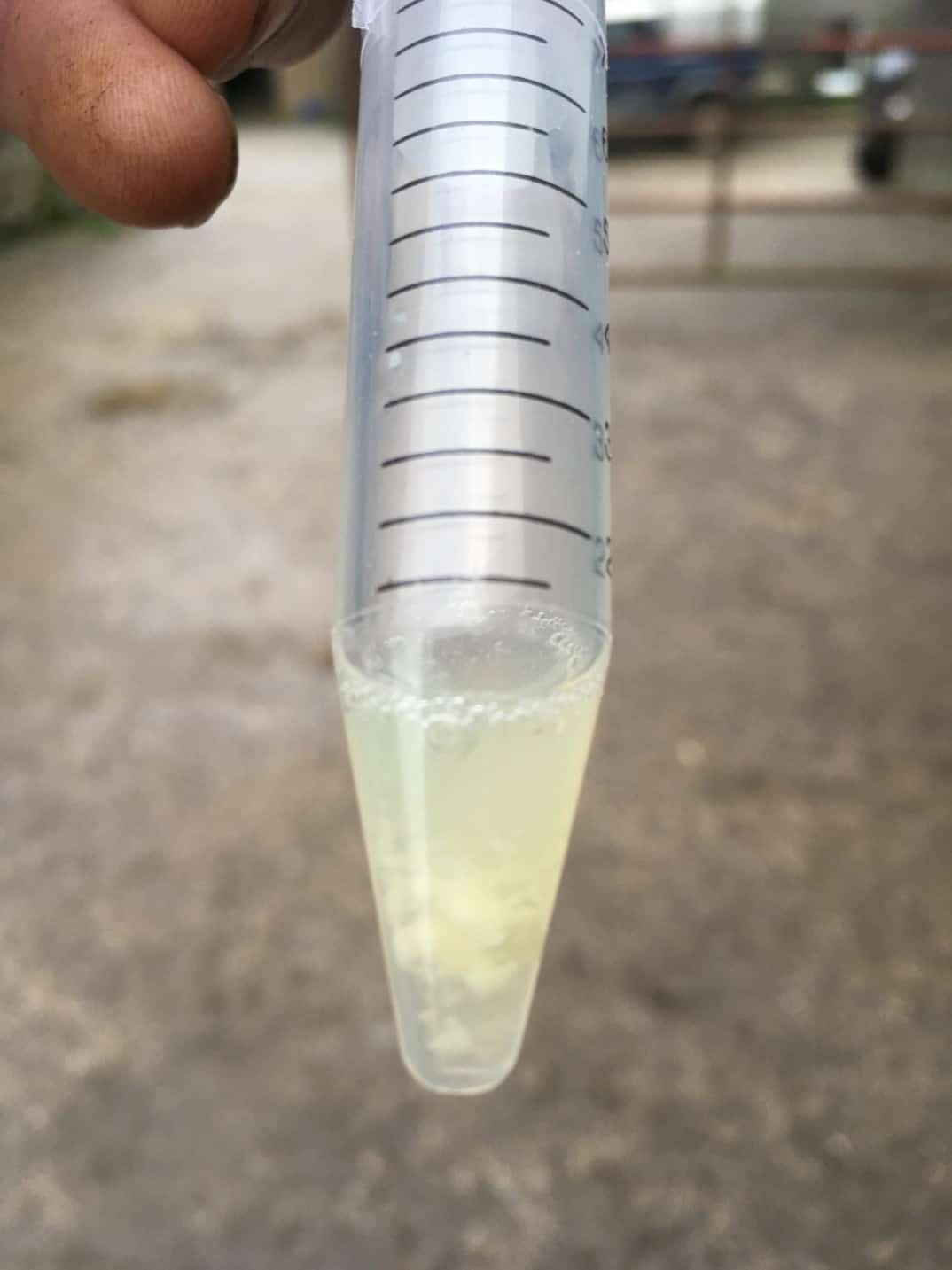 VSR • The Bull Fertility Evaluation and Reporting App for Vets